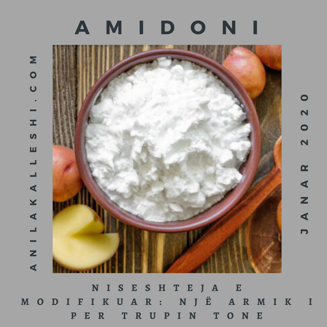 NISESHTEJA E MODIFIKUAR: NJË ARMIK I PER TRUPIN TONE – Anila Kalleshi ...